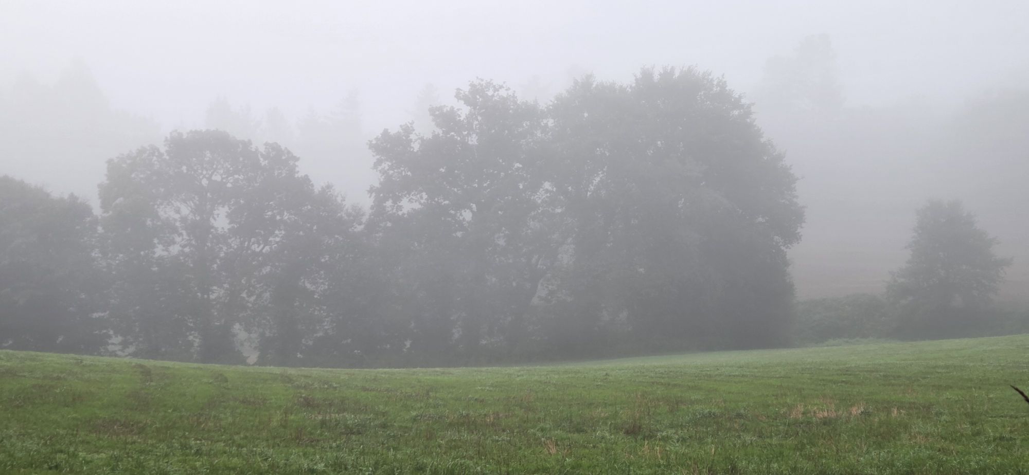 Castroverde to Lugo – Wonderings